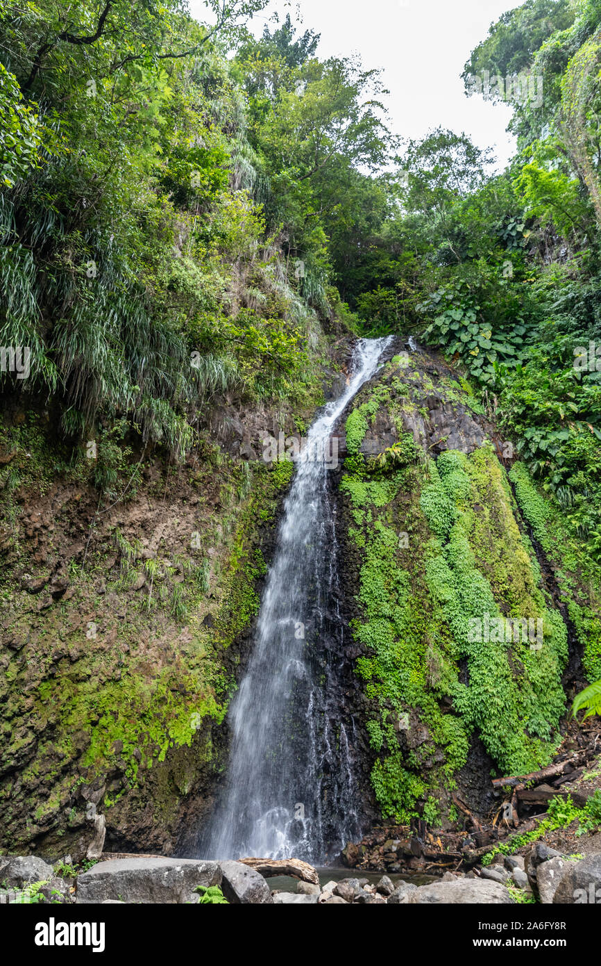 Saint Vincent and the Grenadines, Dark View Falls waterfall Stock Photo ...