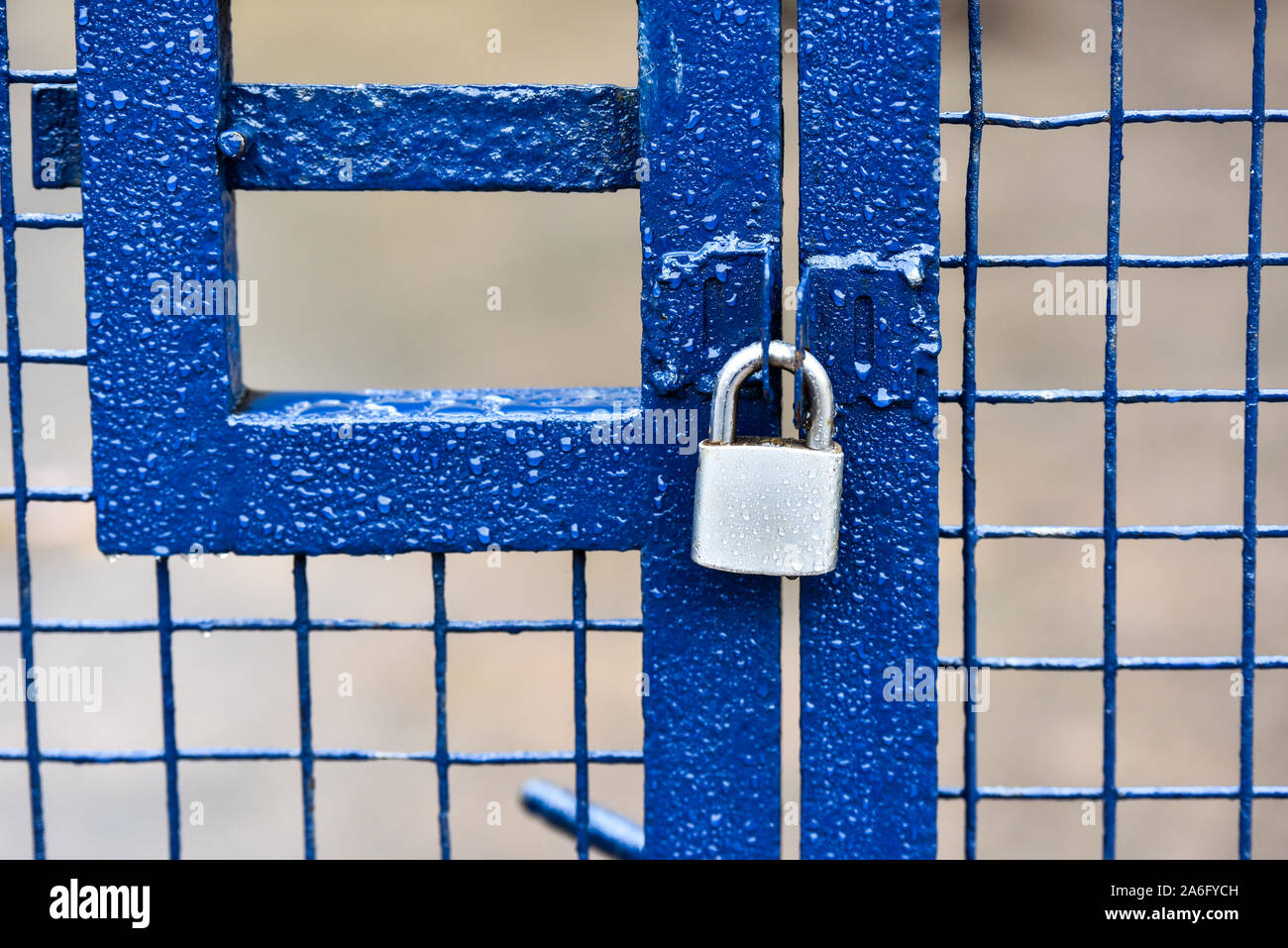 A blue metallic fence with a silver stainless steel padlock, security ...