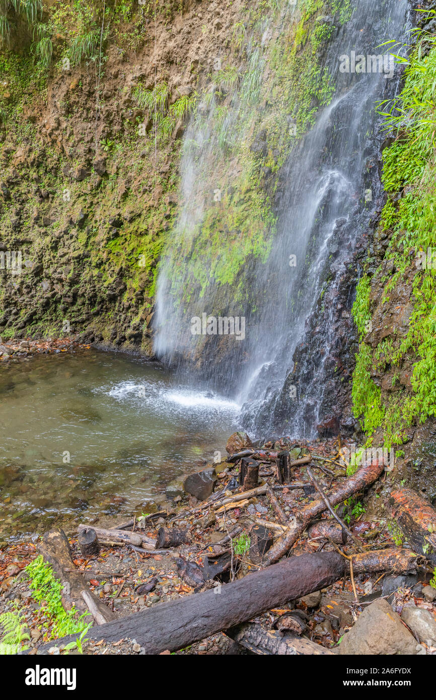 Saint Vincent and the Grenadines, Dark View Falls waterfall Stock Photo ...