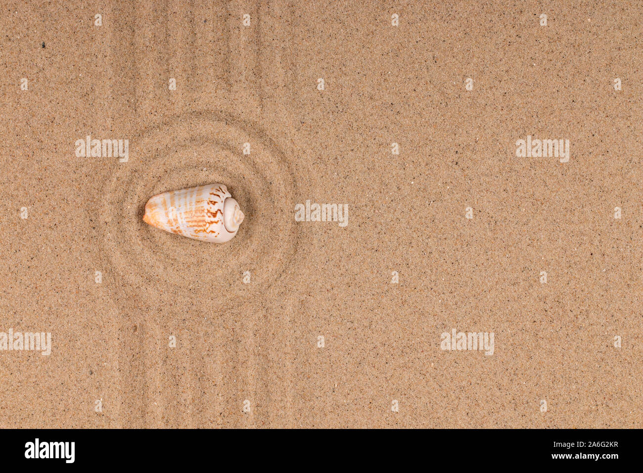 Seashell circle hi-res stock photography and images - Alamy