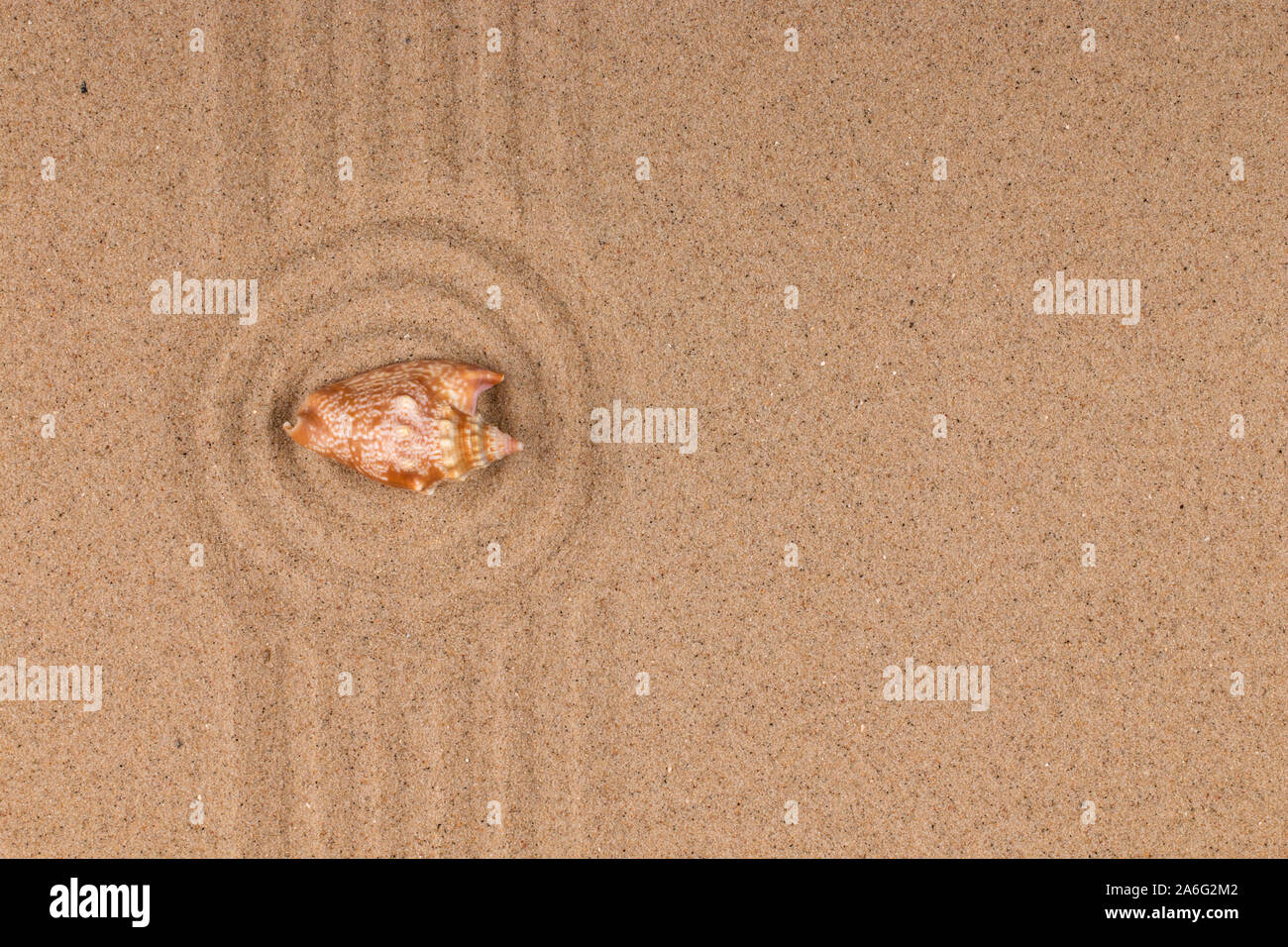 Circle made of sand with seashell. Copy space. Top view Stock Photo - Alamy