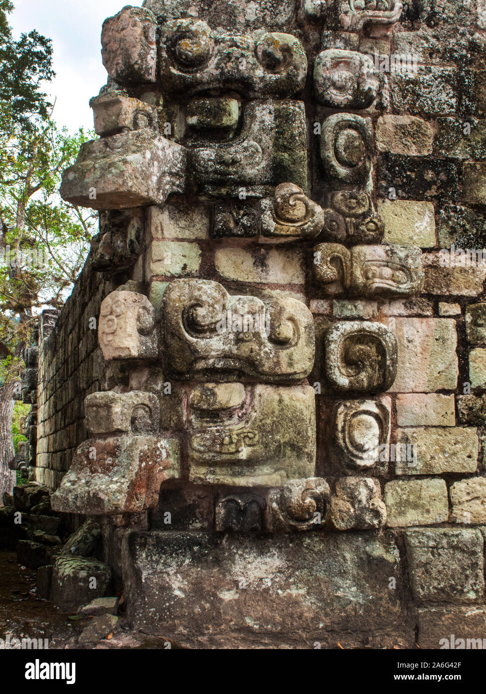 ruins and sculptures of Copan, Honduras Stock Photo - Alamy