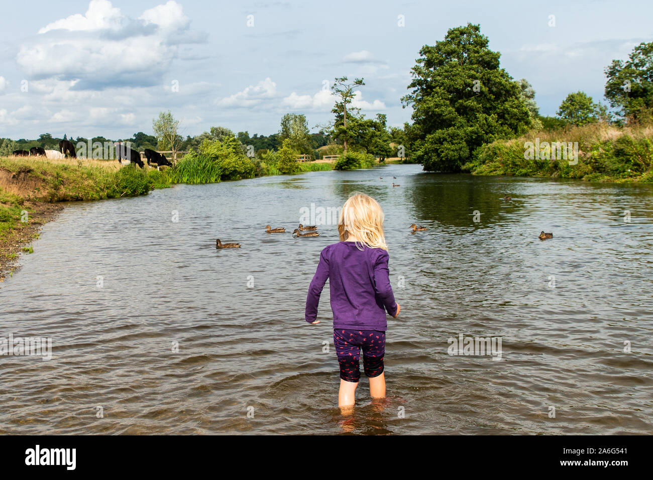 Child paddling in stream uk hi-res stock photography and images - Alamy