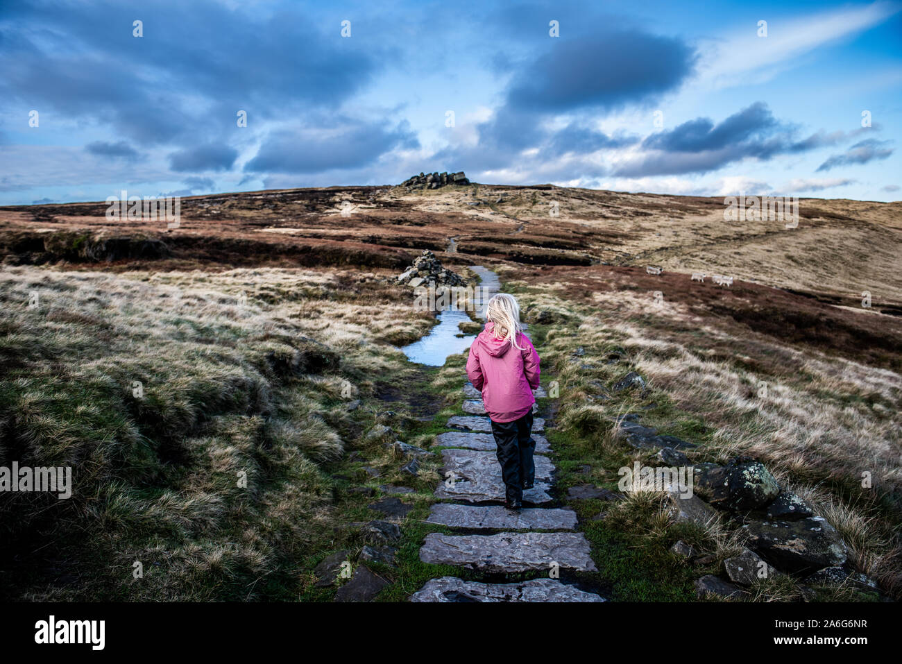 A pretty young girl, walking, hiking and mountain climbing in the ...