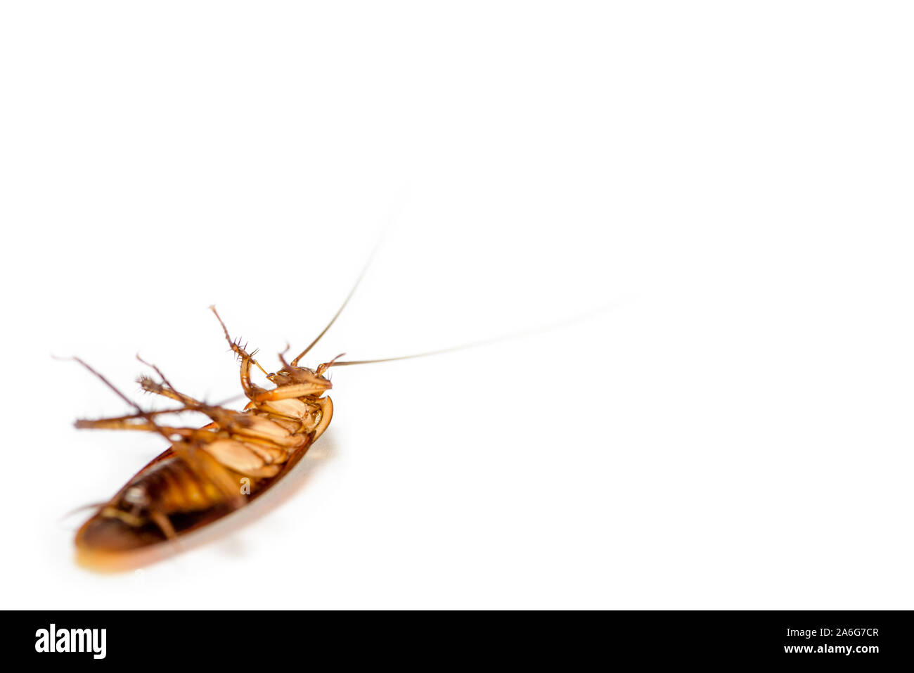 Blank floor close up Cut Out Stock Images & Pictures - Alamy