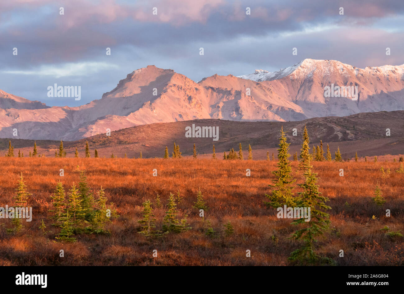 Tundra sunset hi-res stock photography and images - Alamy