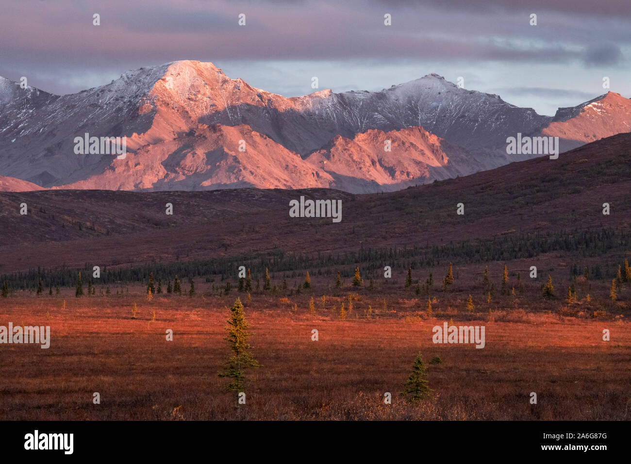 North America; United States; Alaska; Alaska Range Mountains; Denali ...