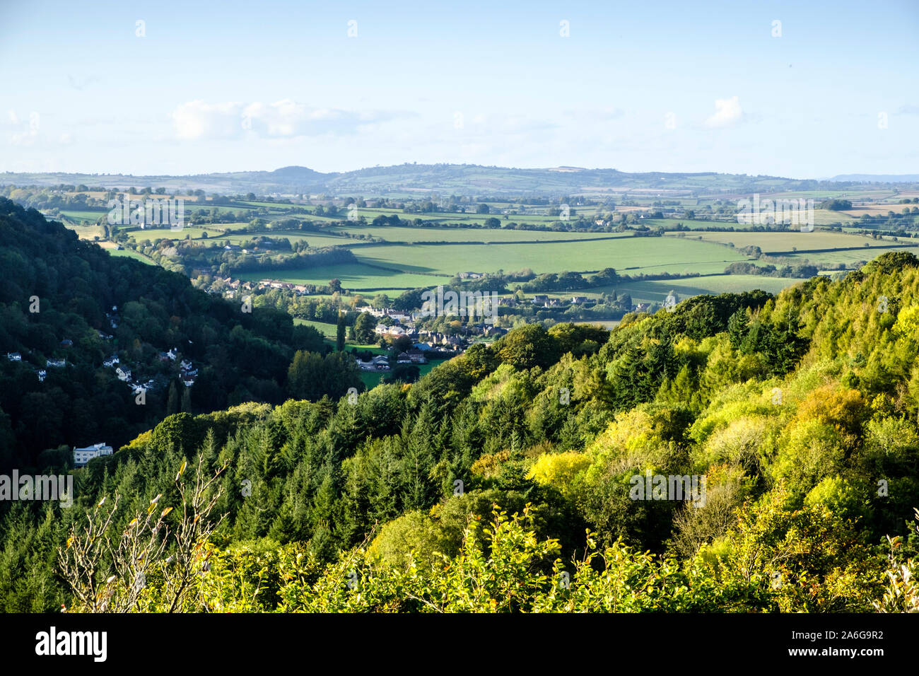 Woods forest dean rock hi-res stock photography and images - Alamy