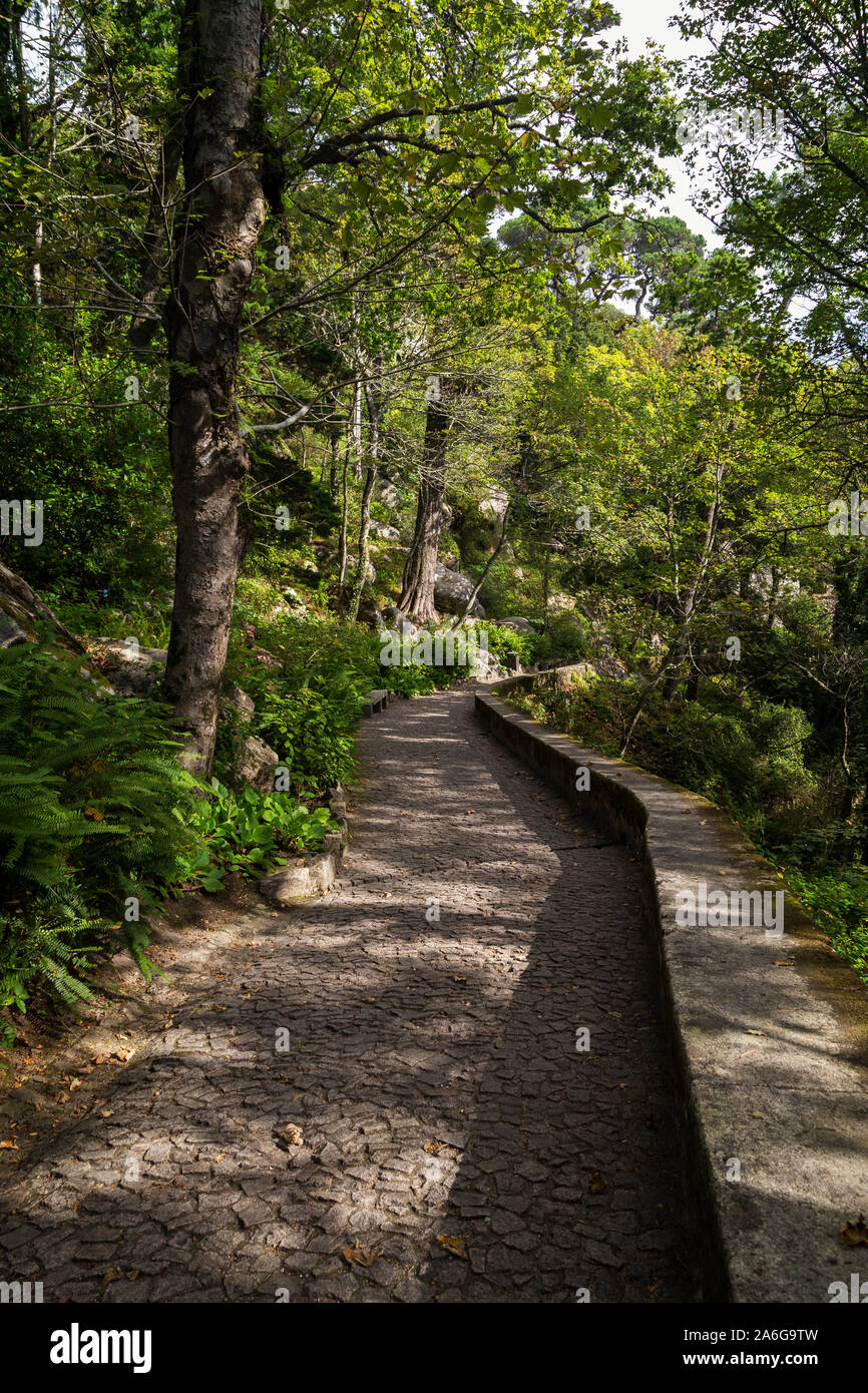 Footpath to medieval hilltop castle Castelo dos Mouros (The Castle of ...