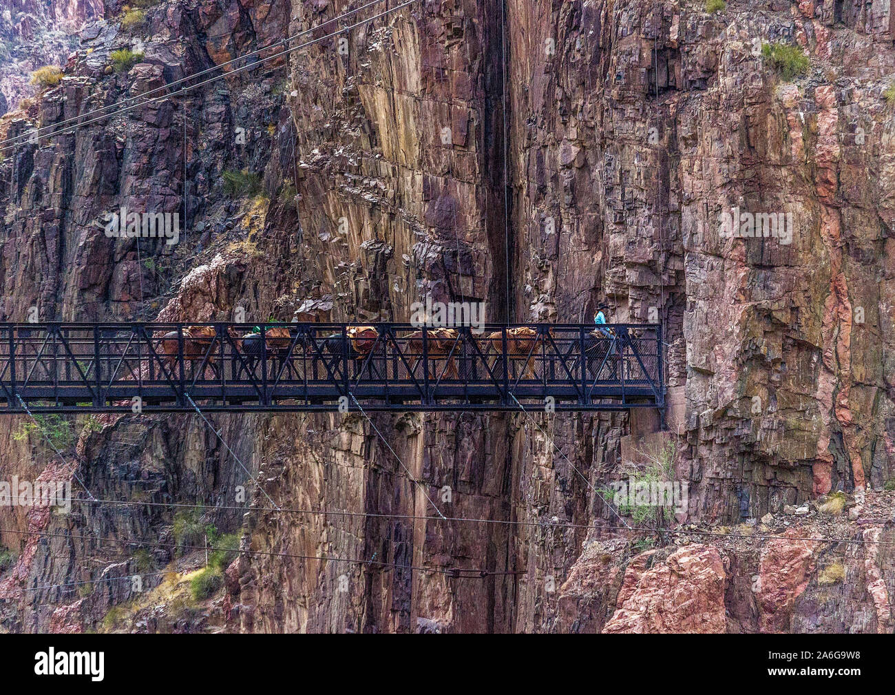 Grand canyon bridge hi-res stock photography and images - Alamy