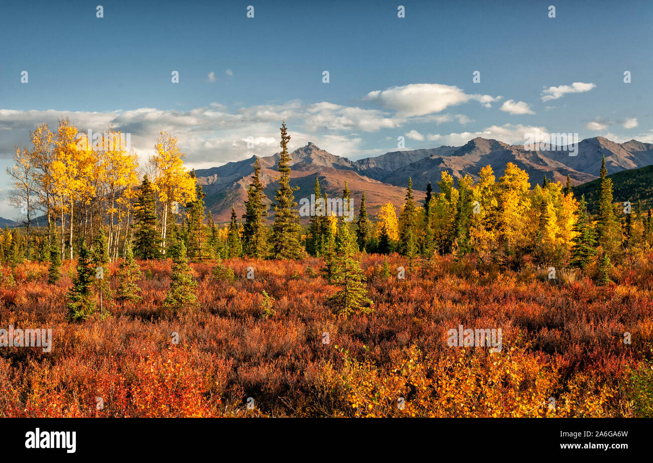 North America; United States; Alaska; Alaska Range Mountains; Healy ...
