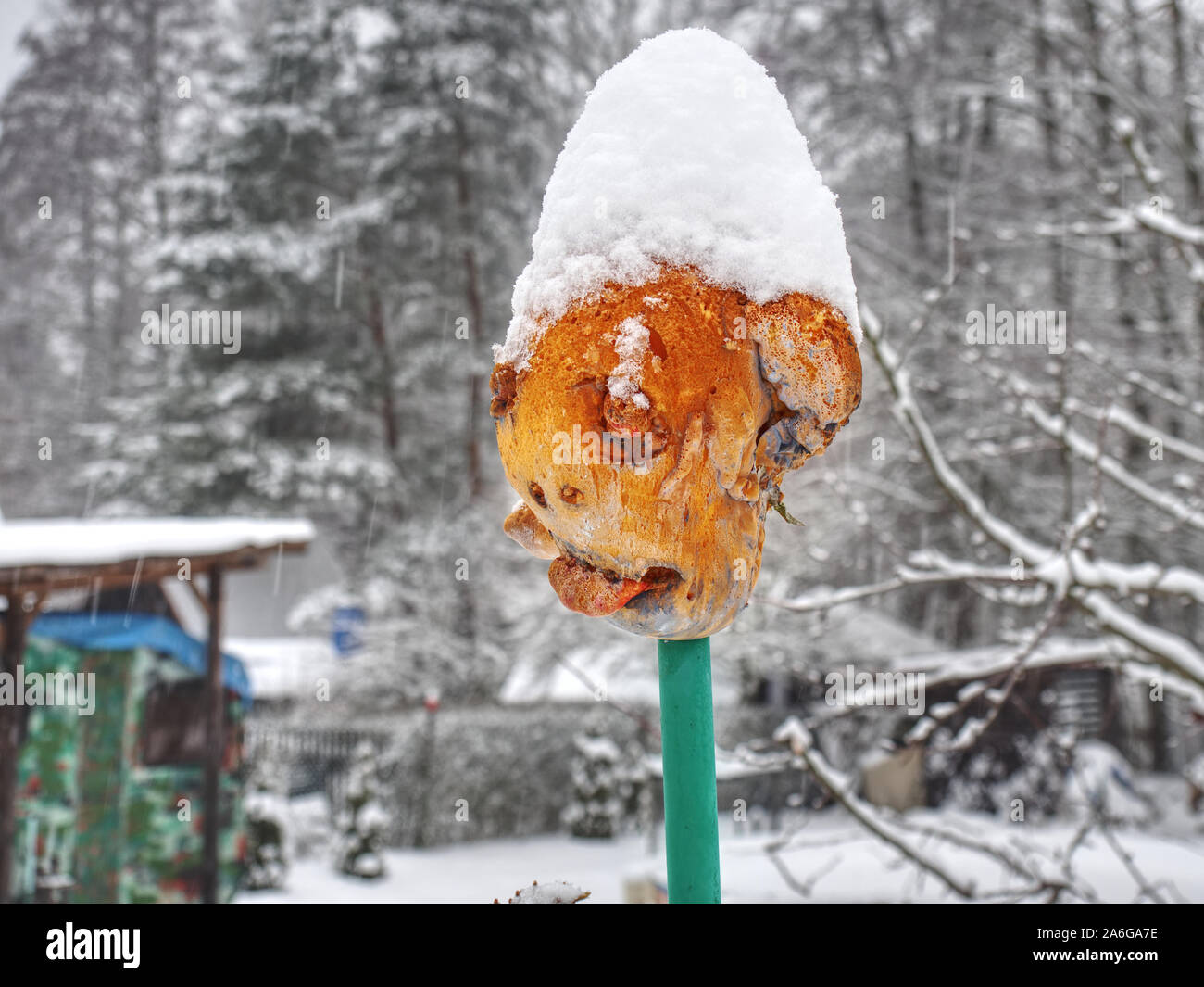 Crazy scary mask. A cut off head on the fence like a house keeper ...