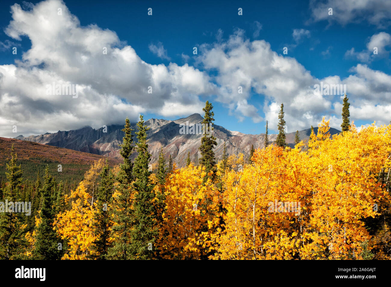 North America; United States; Alaska; Alaska Range Mountains; Auutmn ...