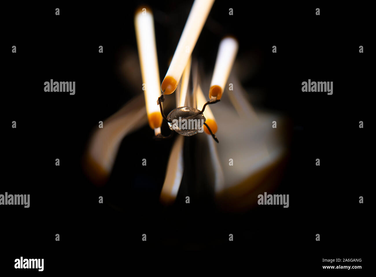 Electrical Filament lamps Edison close-up macro. soft focus Stock Photo ...