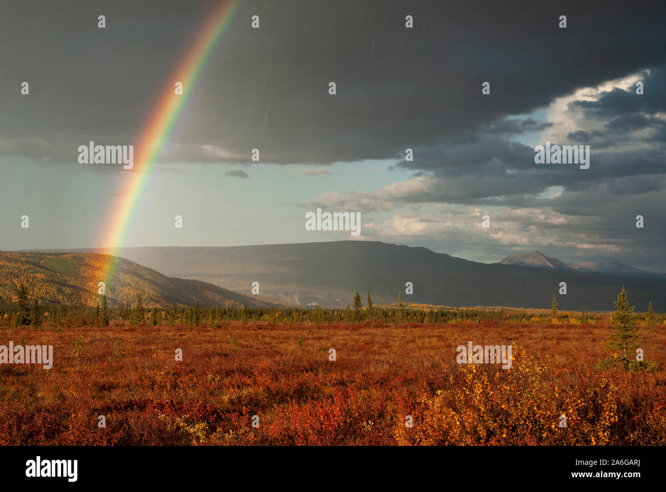 Tundra colors hi-res stock photography and images - Alamy