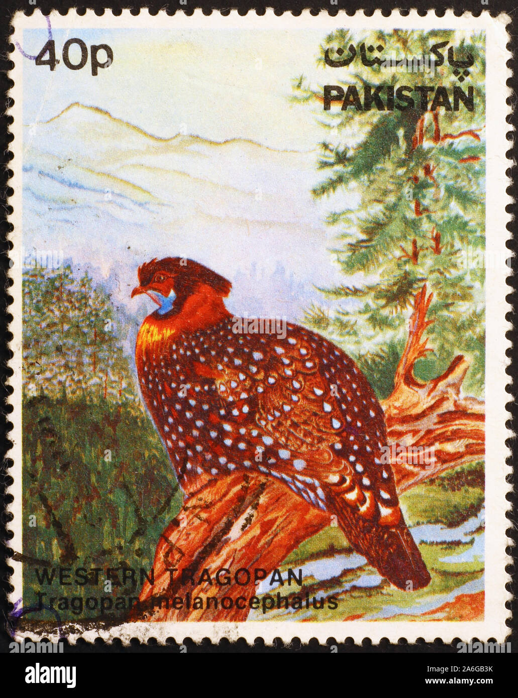 Pakistan postage stamp hi-res stock photography and images - Alamy