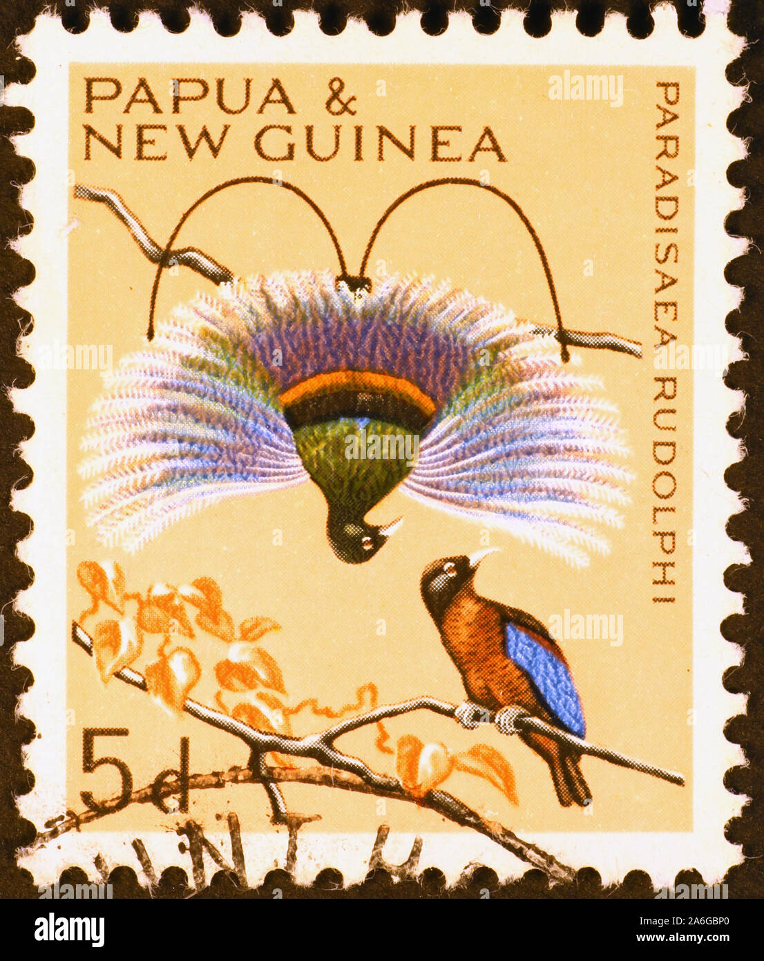 Two birds of paradise on postage stamp of Papua New Guinea Stock Photo ...