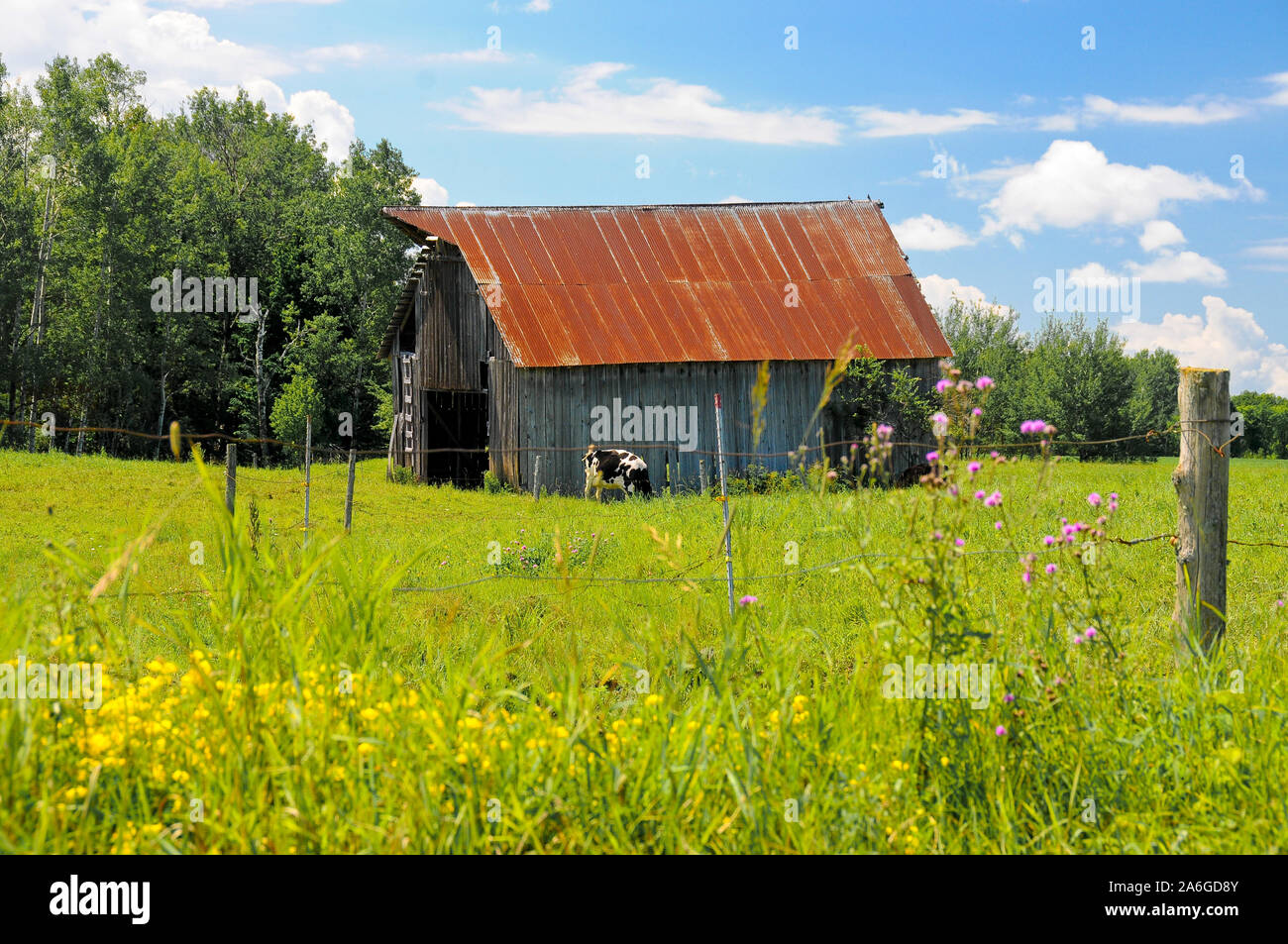 Wonderful barn hi-res stock photography and images - Alamy