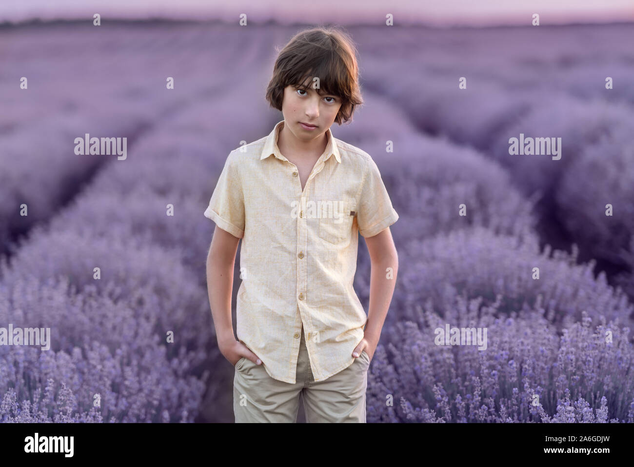Portrait of a boy in a lavender field Stock Photo - Alamy