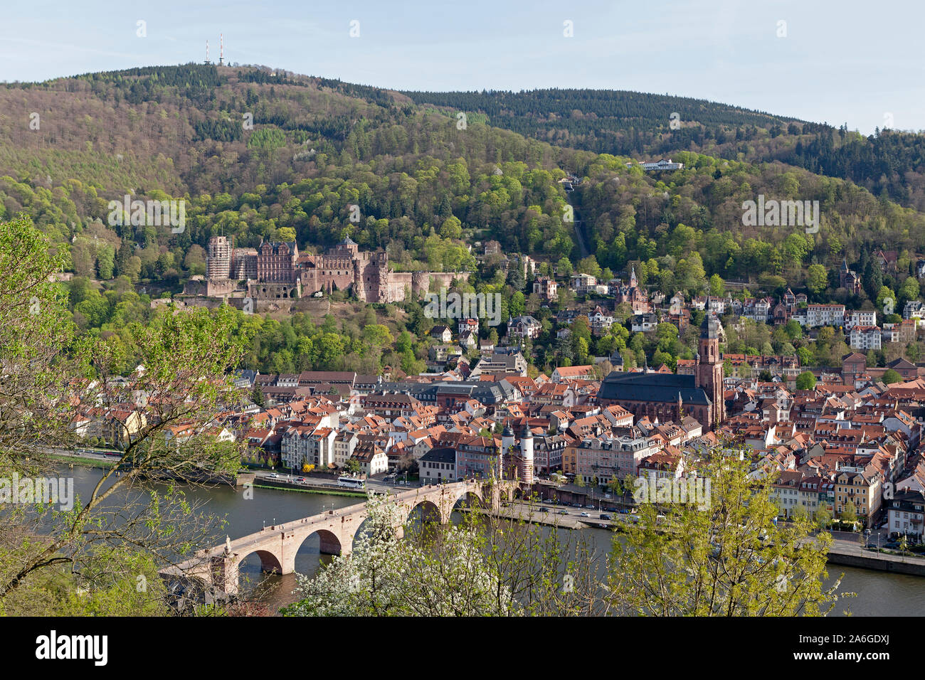 A panoramic view of the castle and the Old Bridge in Heidelberg ...