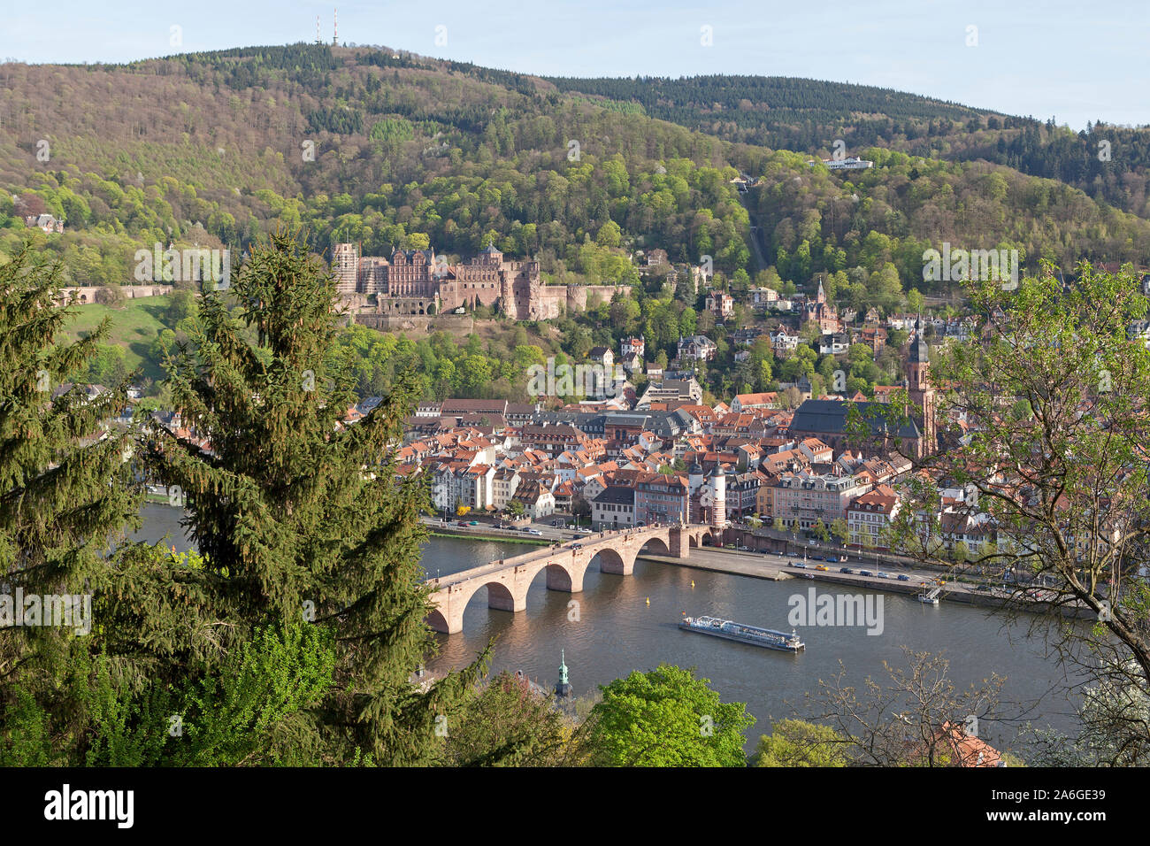 A panoramic view of the castle and the Old Bridge in Heidelberg ...