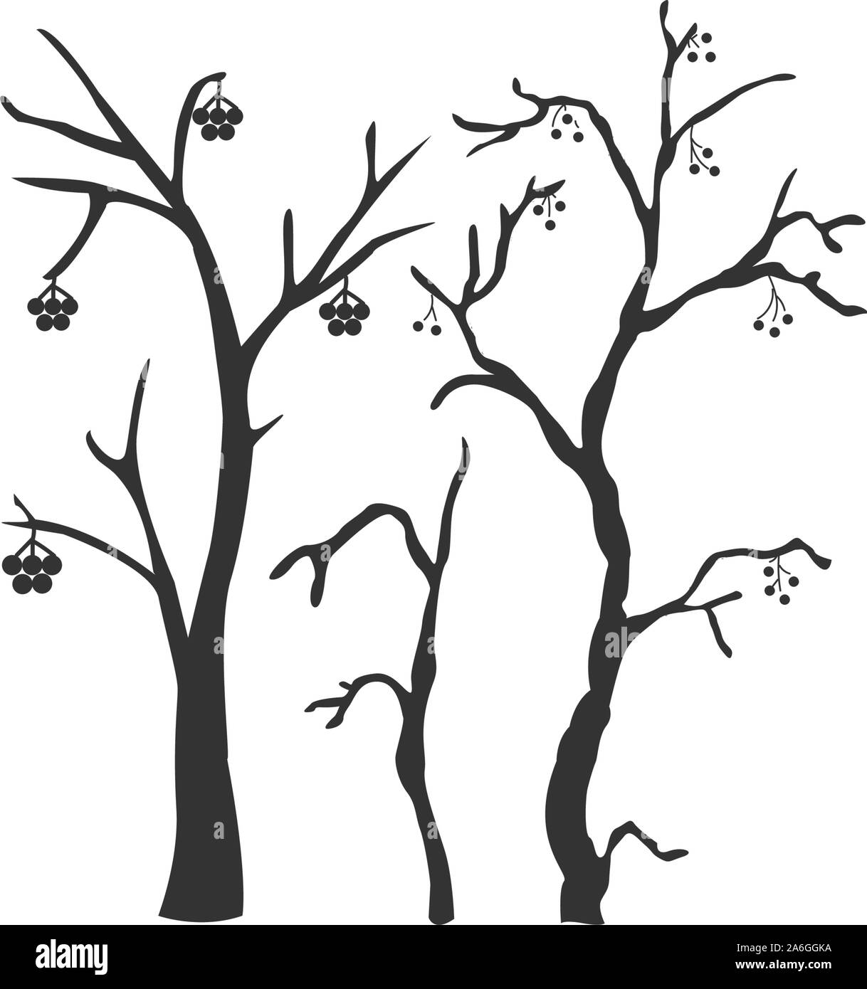 Silhouette of a rowan tree with berries. Rowan Icon Vector Illustration ...