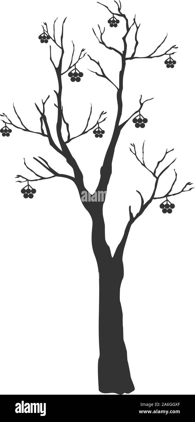 Silhouette of a rowan tree with berries. Rowan Icon Vector Illustration ...