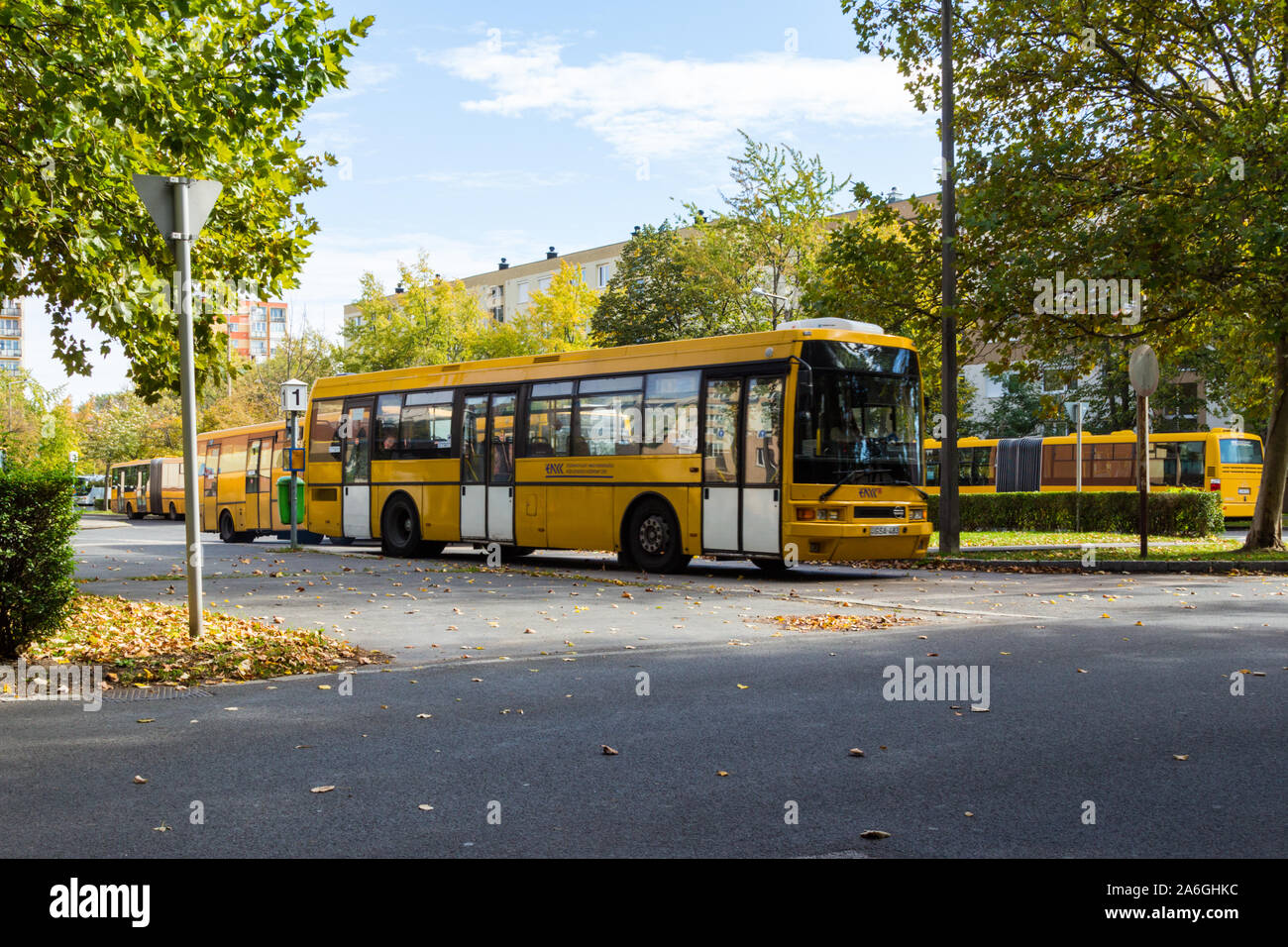 Bus station terminal with yellow local buses, Jerevan district, Sopron ...