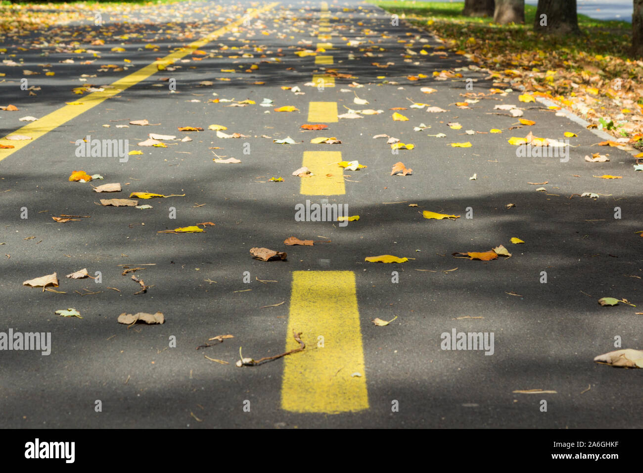 Cycle lane path marking yellow centre line Stock Photo - Alamy