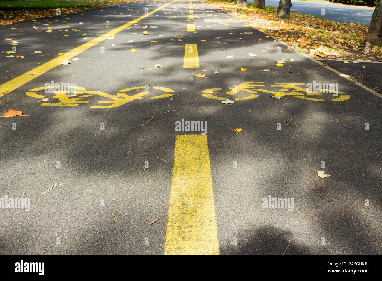 Cycle lane path marking yellow centre line with bicycle signs Stock ...