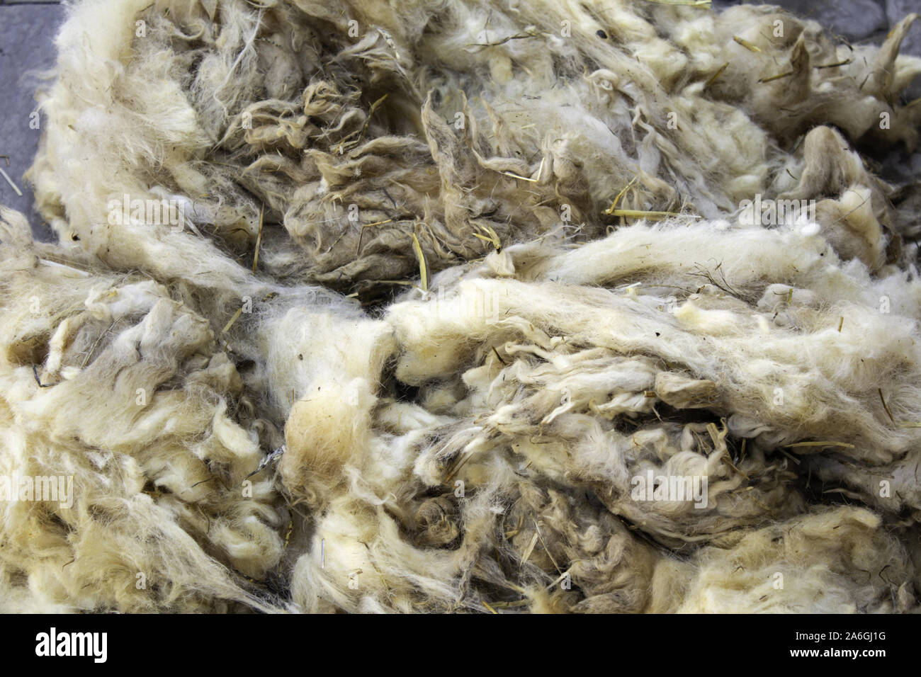 Sheep wool for weaving, industry and agriculture, crafts Stock Photo ...