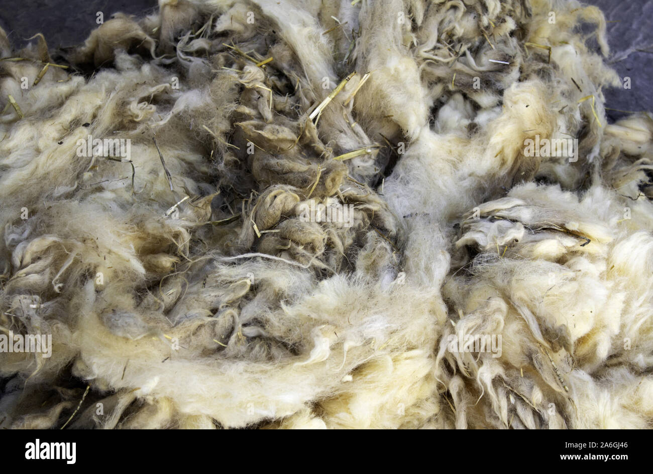Sheep wool for weaving, industry and agriculture, crafts Stock Photo ...