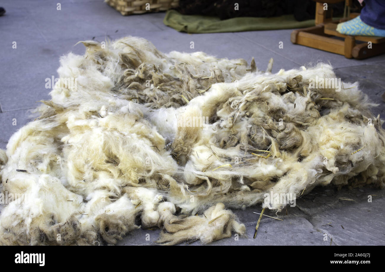 Sheep wool for weaving, industry and agriculture, crafts Stock Photo ...