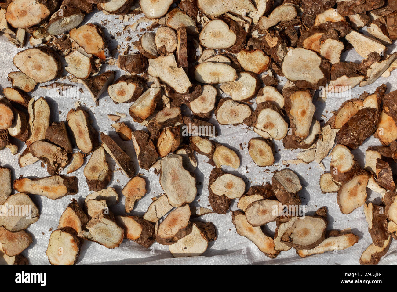Ginger drying in the sun in China Stock Photo - Alamy