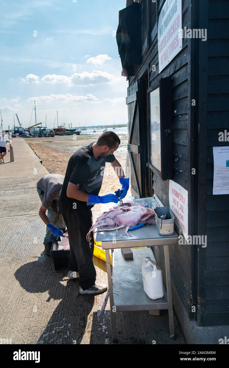 Fisherman prepare their catch of fresh fish ready for waiting customers ...