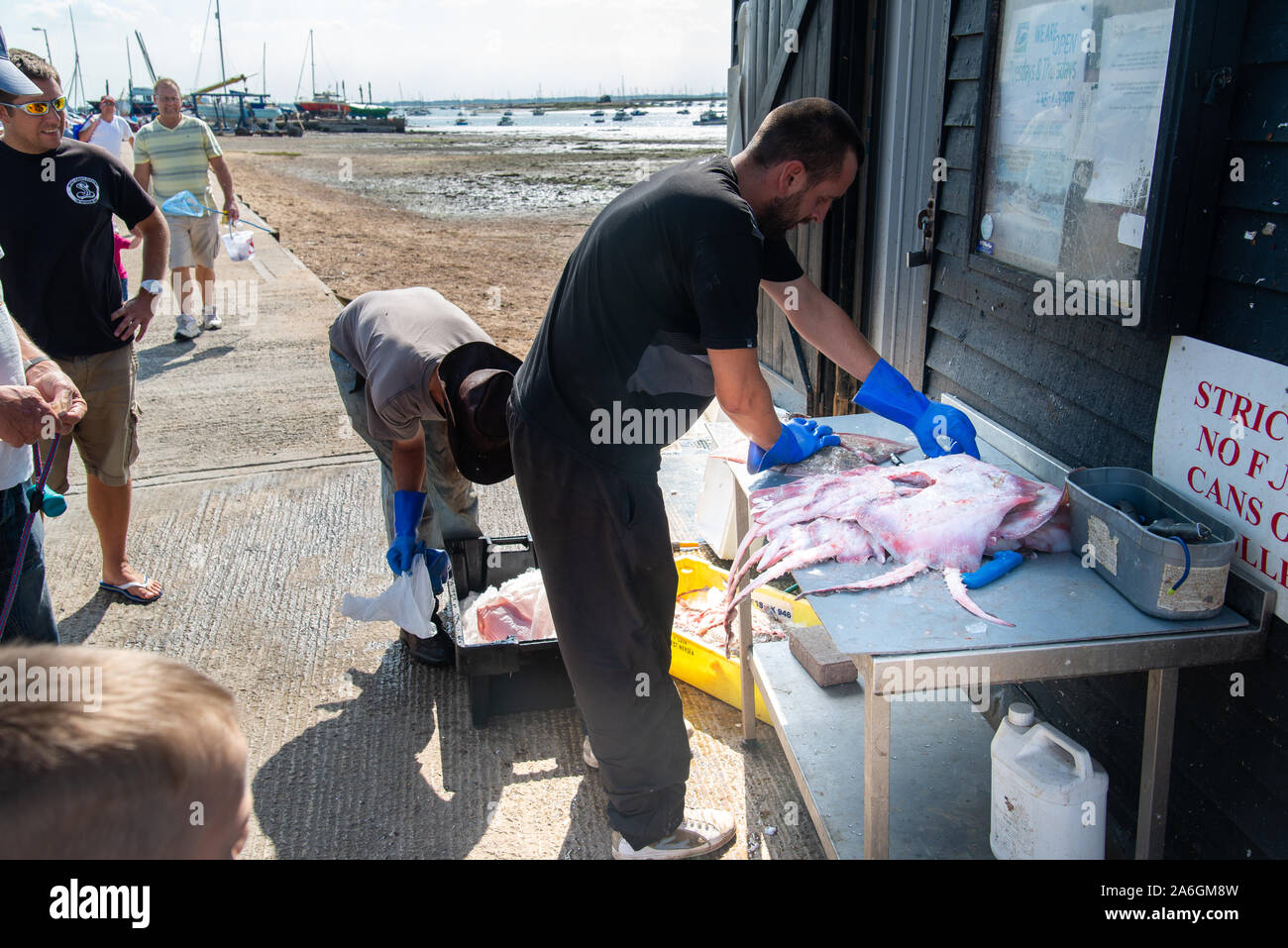 Fisherman prepare their catch of fresh fish ready for waiting customers ...