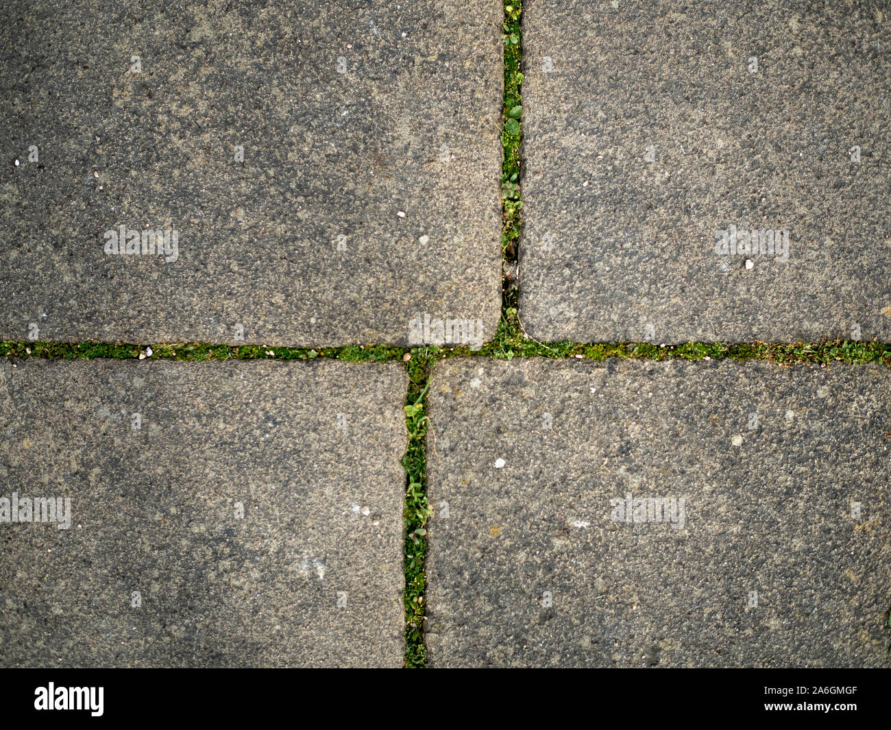 Grass paving block hi-res stock photography and images - Alamy