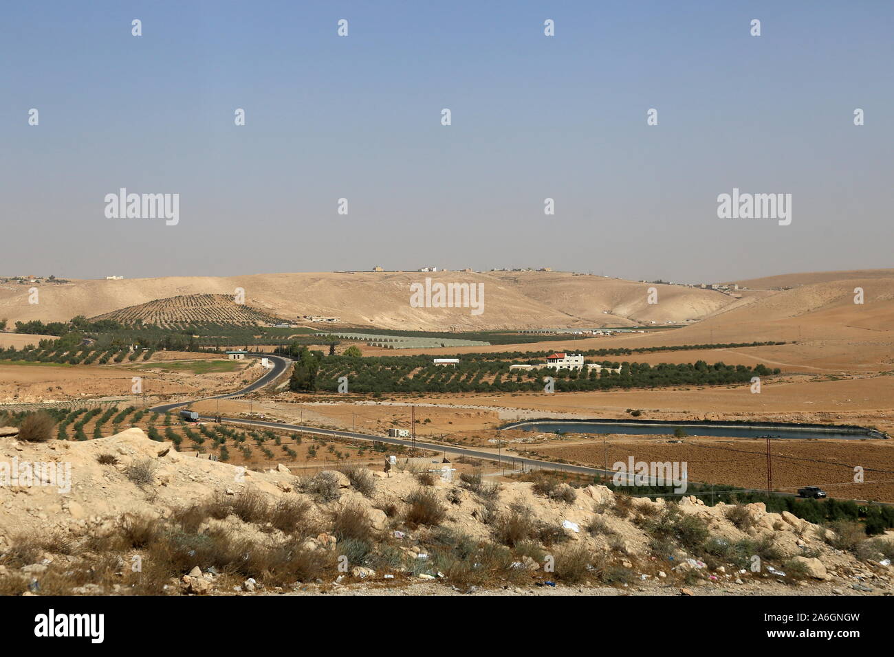 Olive farming near Umm Ar Rasas, Amman Governorate, Jordan, Middle East ...