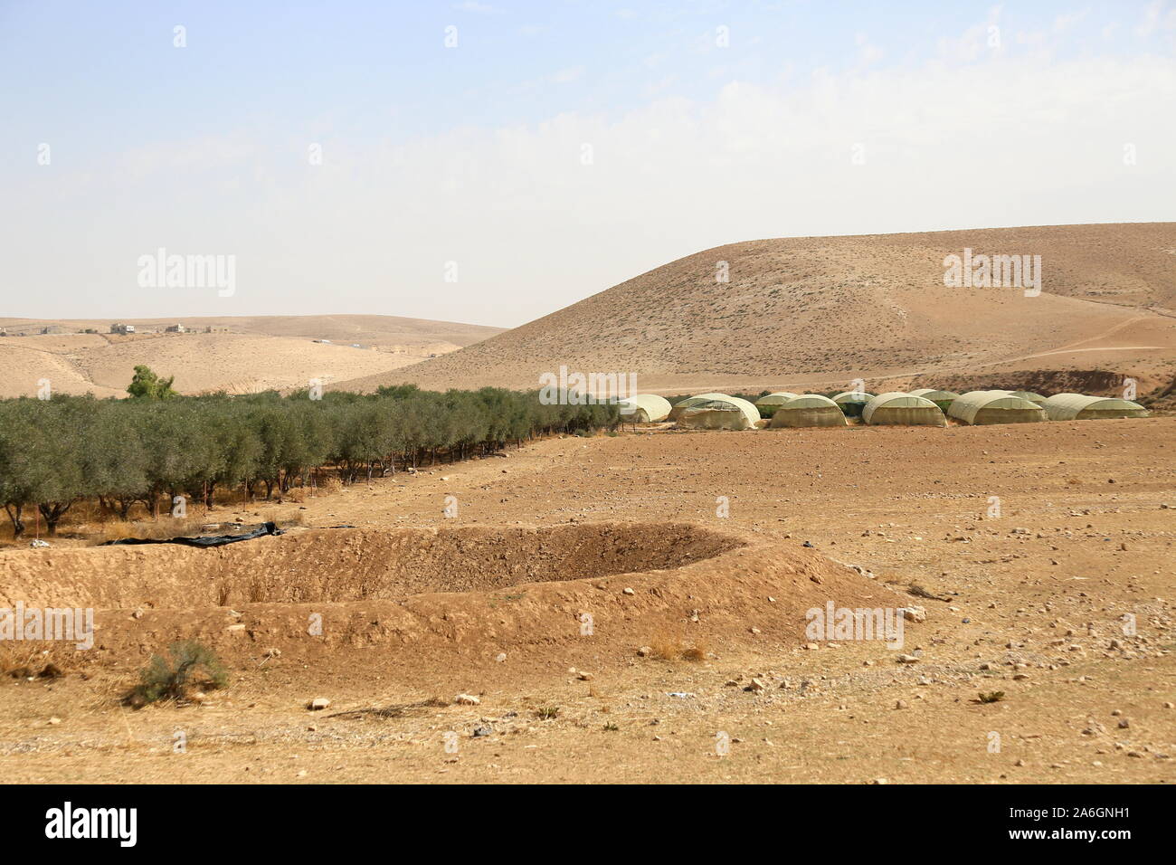 Olive farming hi-res stock photography and images - Alamy