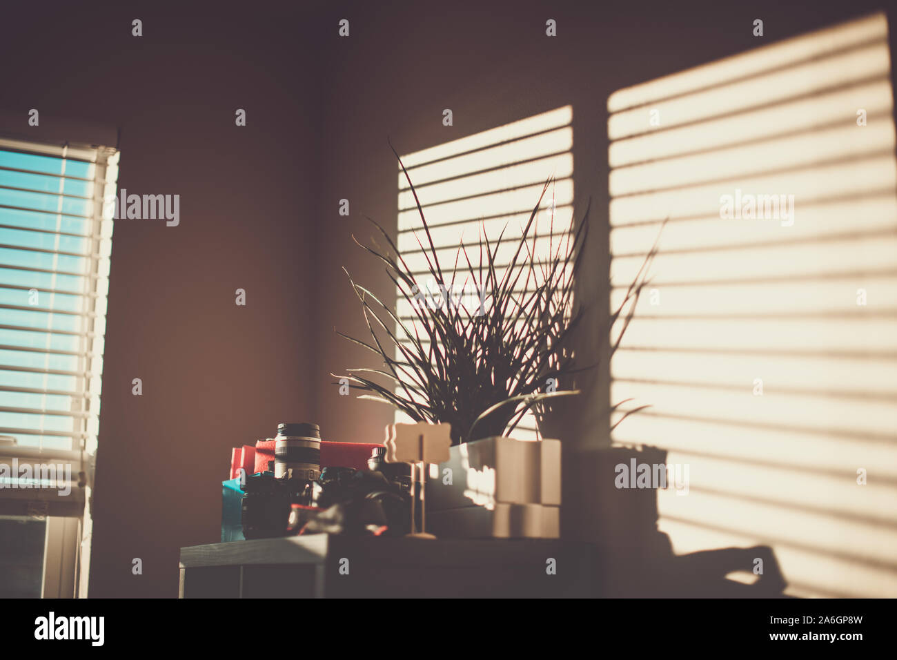 Sunlight coming inside the house hi-res stock photography and images ...