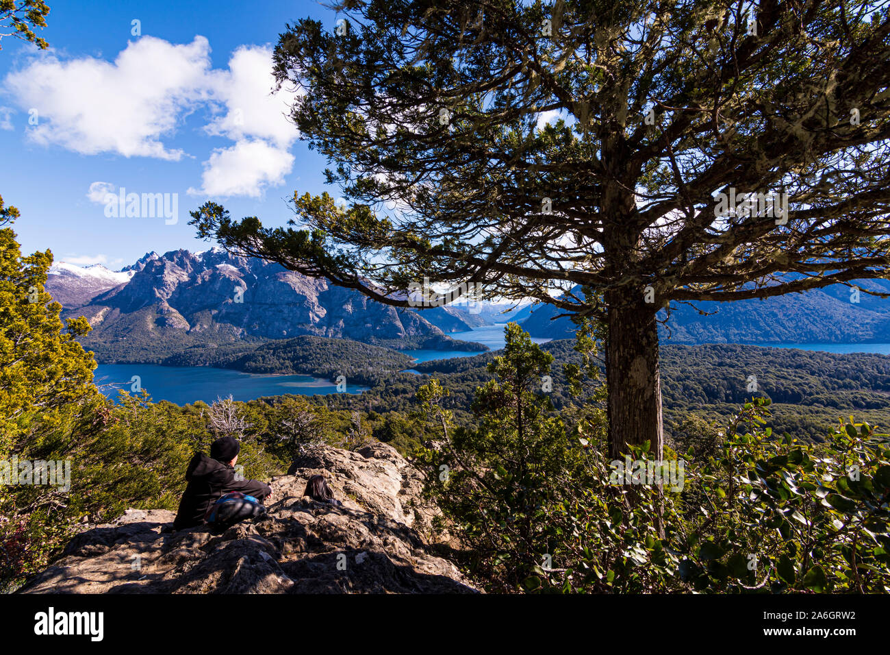 Young couple resting on the rocks beneath the shadow of a coihue tree ...