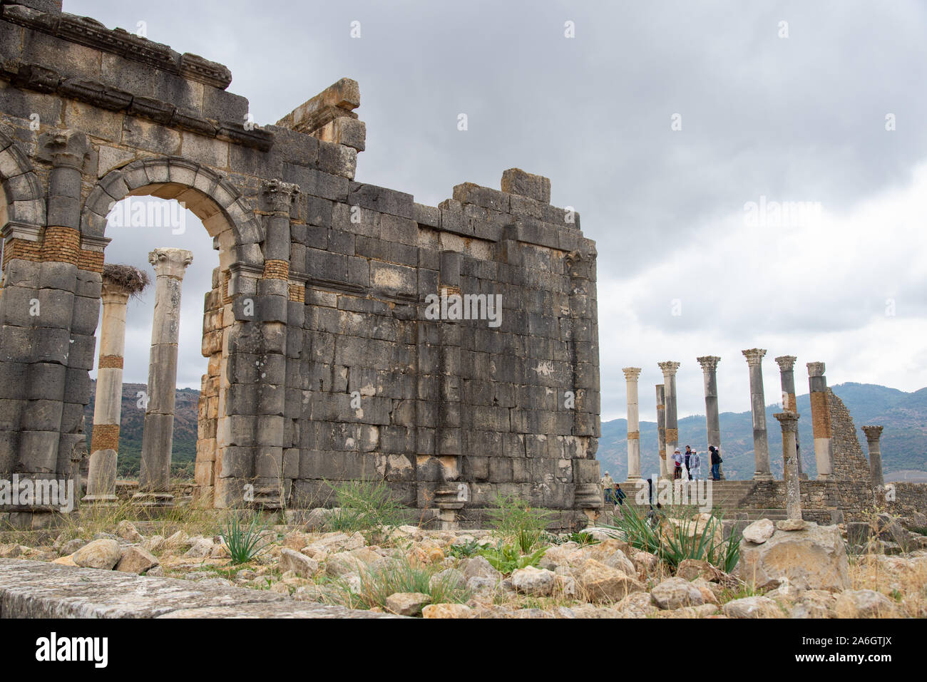 roman ruins at Volubilis in Morocco Stock Photo - Alamy