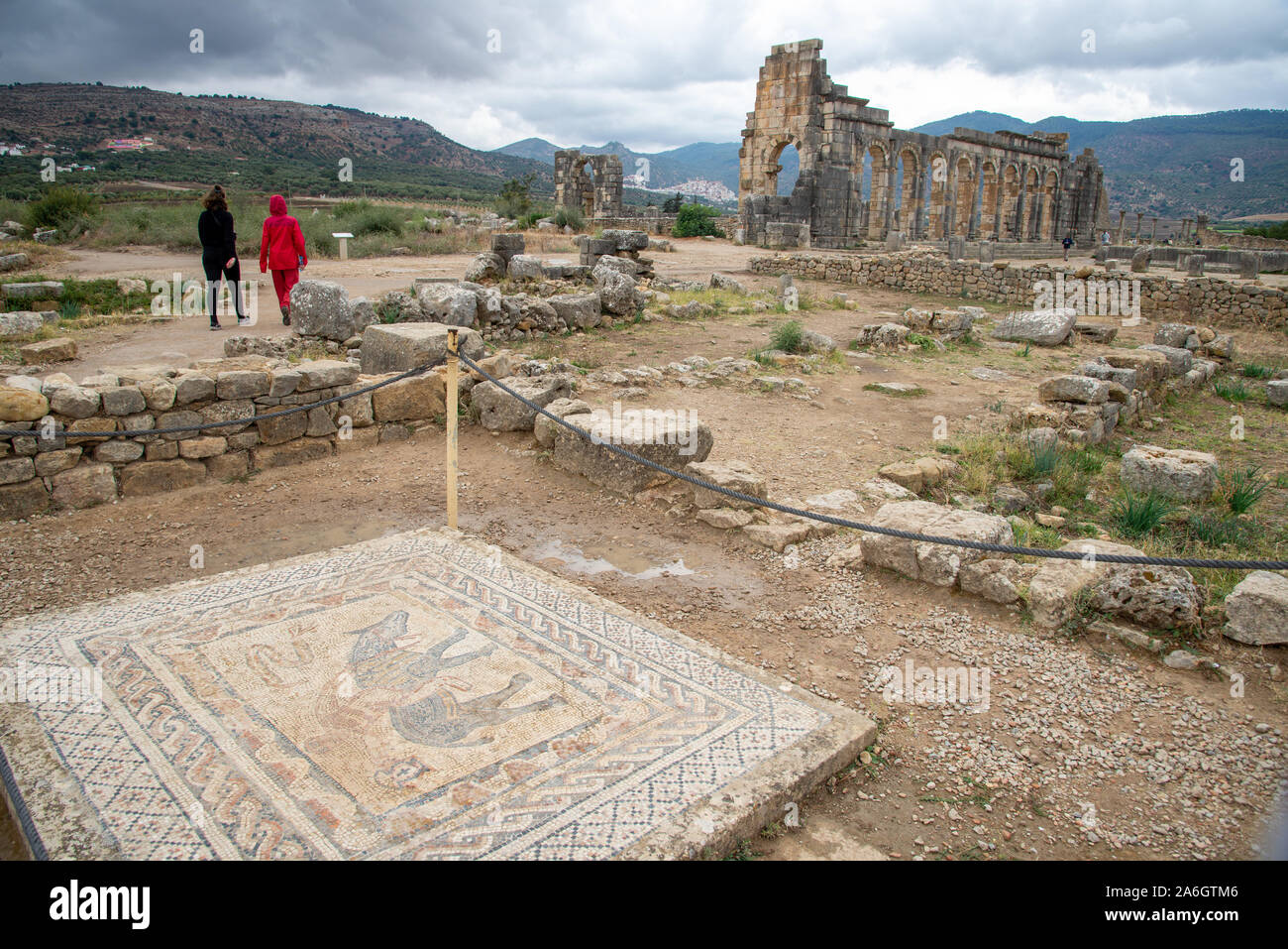 mosaic floor at roman ruins at Volubilis in Morocco Stock Photo - Alamy