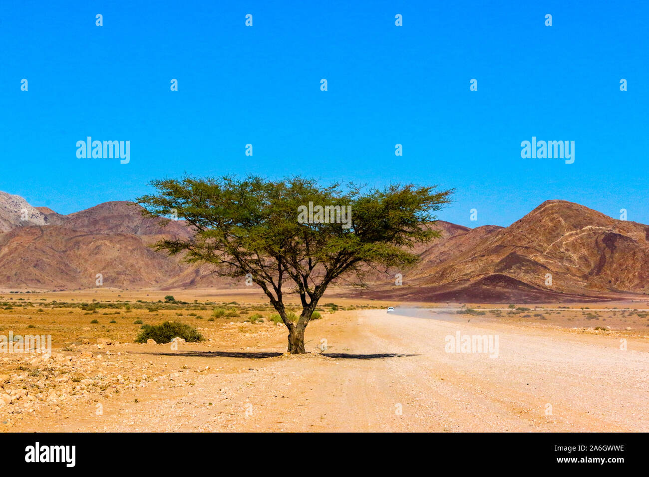 Landscape in Namibia, Africa Stock Photo - Alamy