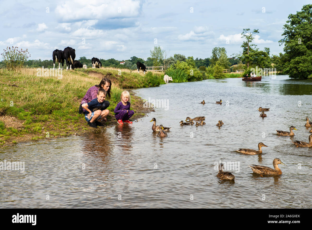 Family feeding ducks river hi-res stock photography and images - Alamy