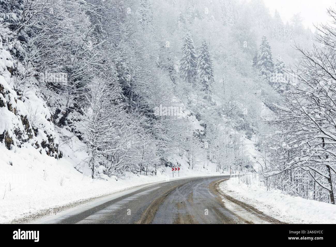 Snowy bending road scene in winter, with snowy trees, rocks and asphalt ...