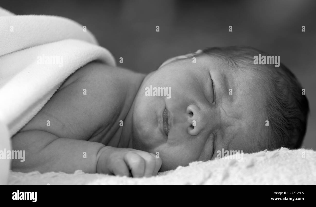 A cute, pretty little baby, toddler has some pictures taken by a ...