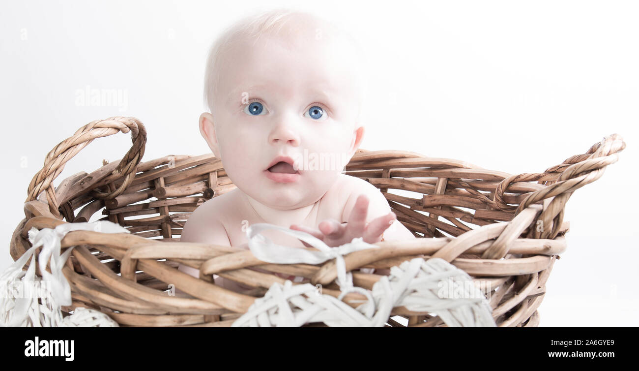 A cute, pretty little baby, toddler has some pictures taken by a ...