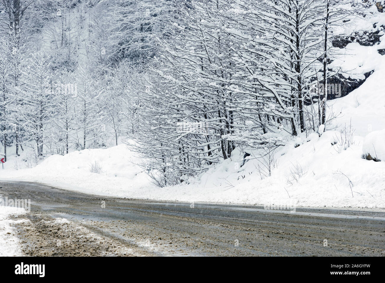 Snowy bending road scene in winter, with snowy trees, rocks and asphalt ...