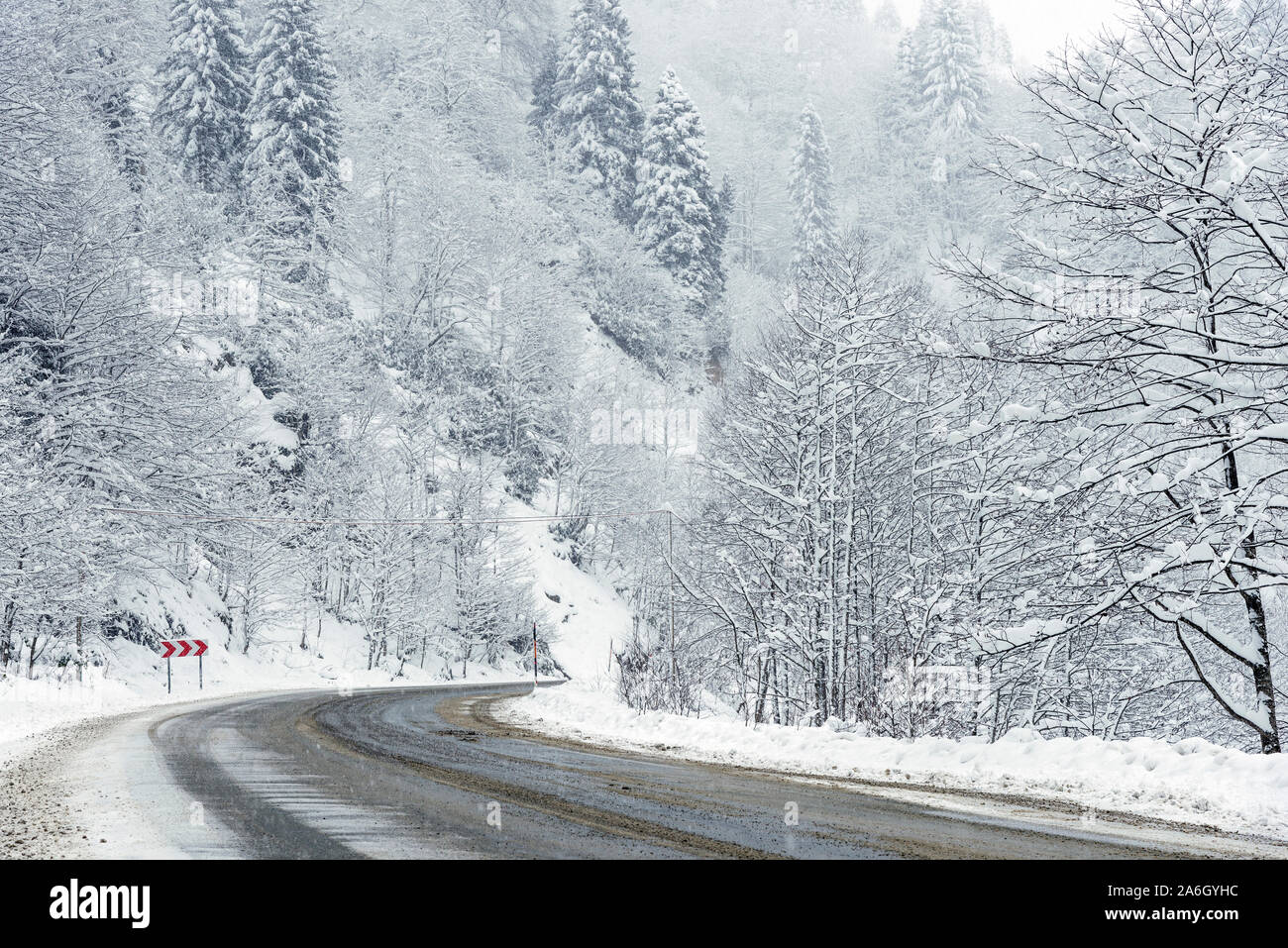Snowy bending road scene in winter, with snowy trees, rocks and asphalt ...